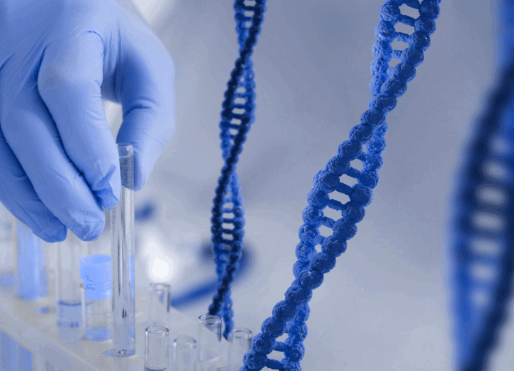 ДНК-тест: що це таке та наскільки він достовірний — блог медичного ...